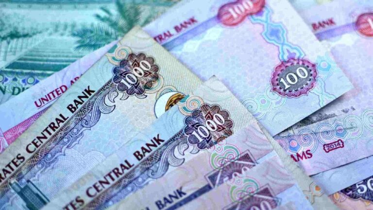 Nafis Emirati Salary Support Scheme Expansion 2025 - Guide