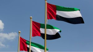 Emirati Nationality Law: Key Rules & Process